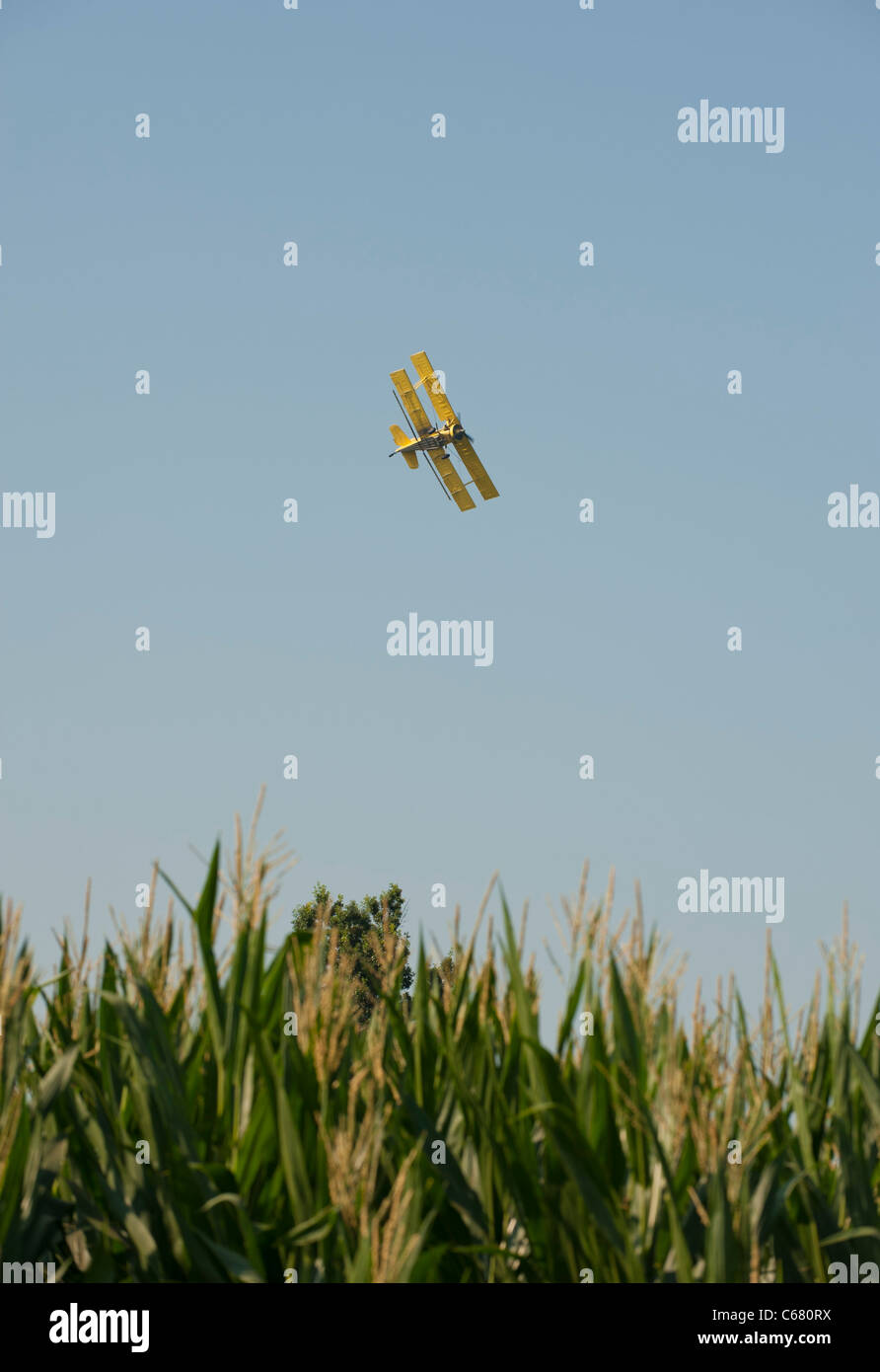 Cropduster hi-res stock photography and images - Alamy