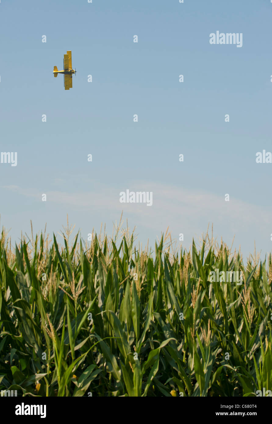 Crop duster over corn in the Midwest Stock Photo - Alamy