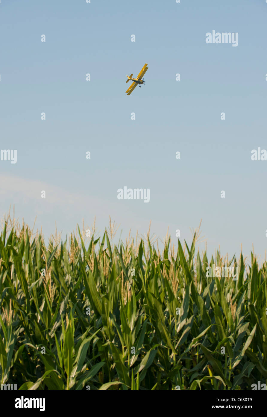 Crop duster over corn in the Midwest Stock Photo - Alamy