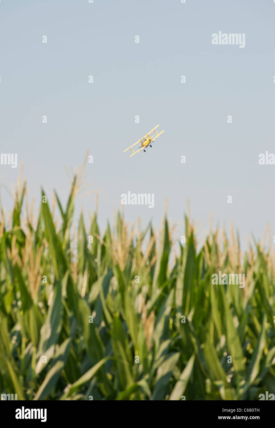 Crop duster over corn in the Midwest Stock Photo - Alamy