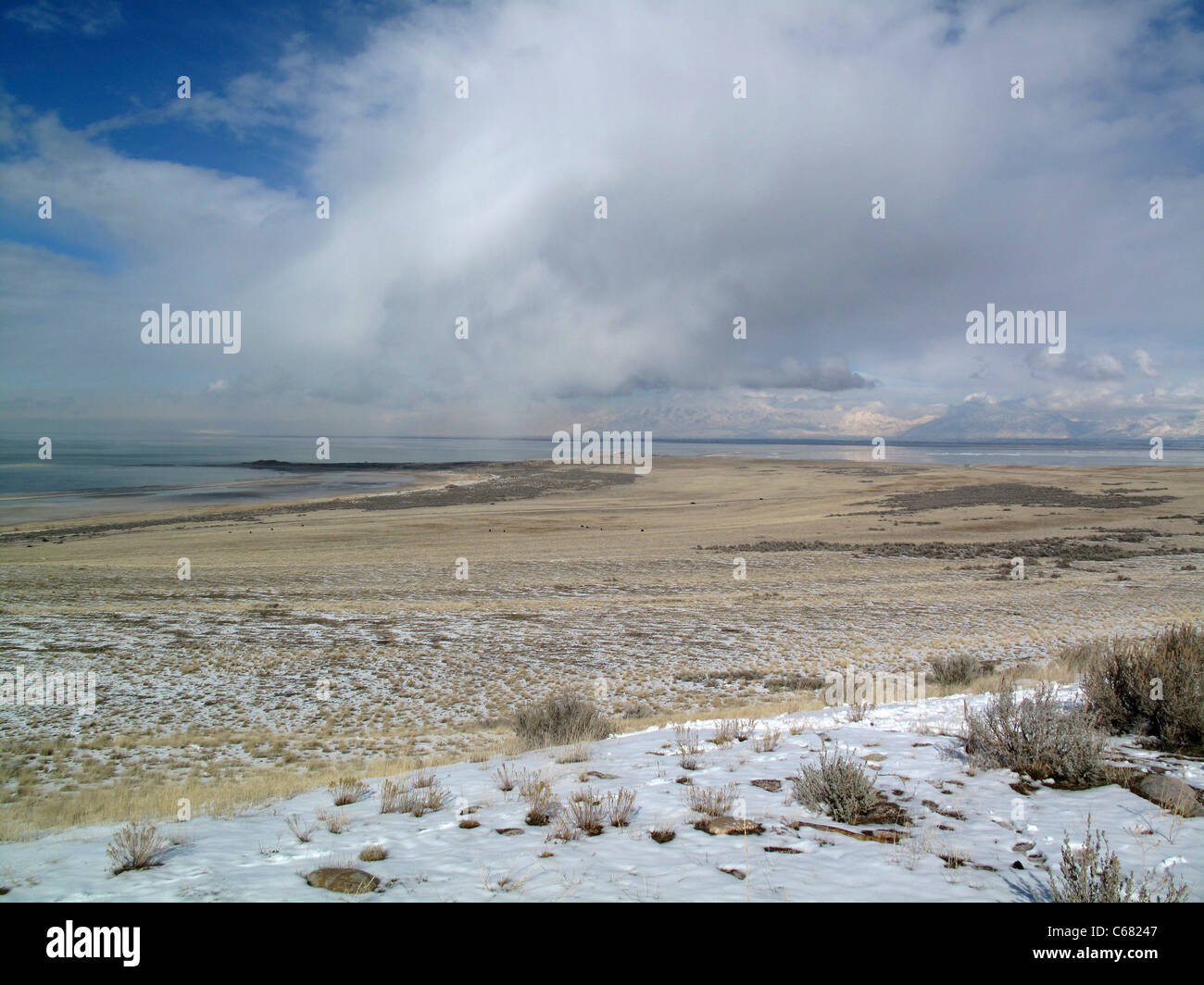 Antelope island hi-res stock photography and images - Alamy