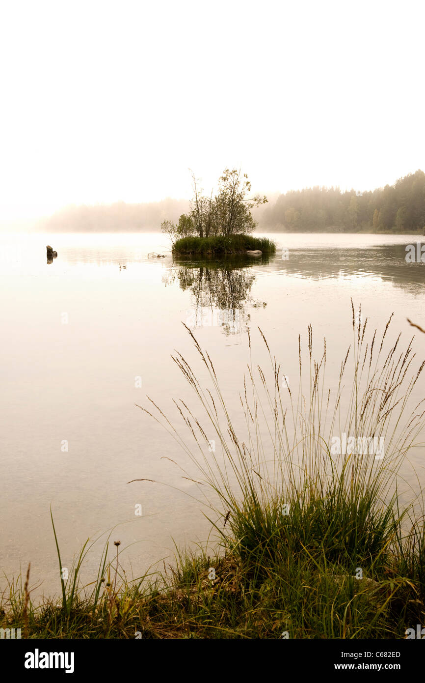 A quiet mysterious lake with fog Stock Photo - Alamy