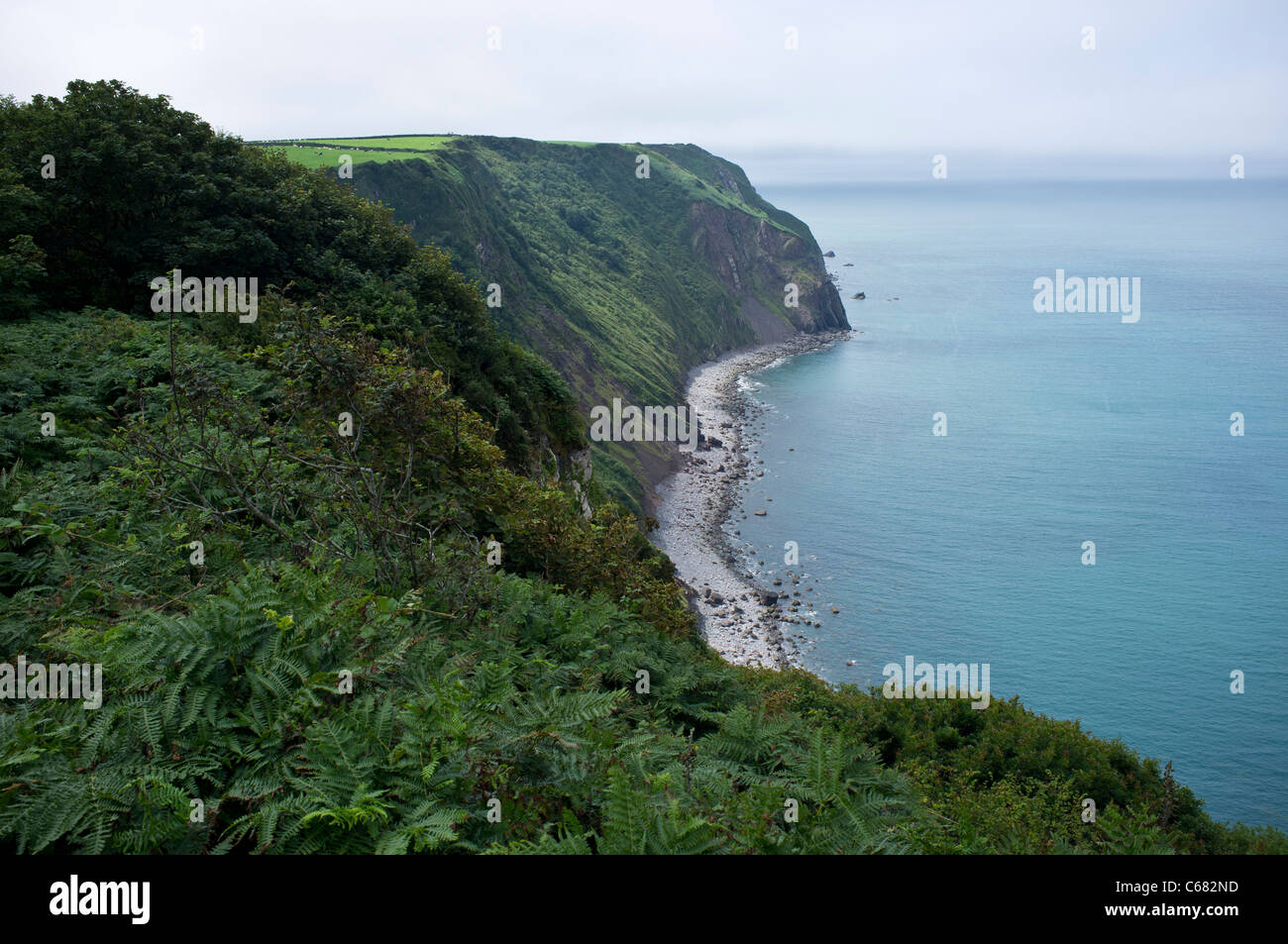 North Devon coastline near Windbury and Clovelly Stock Photo - Alamy