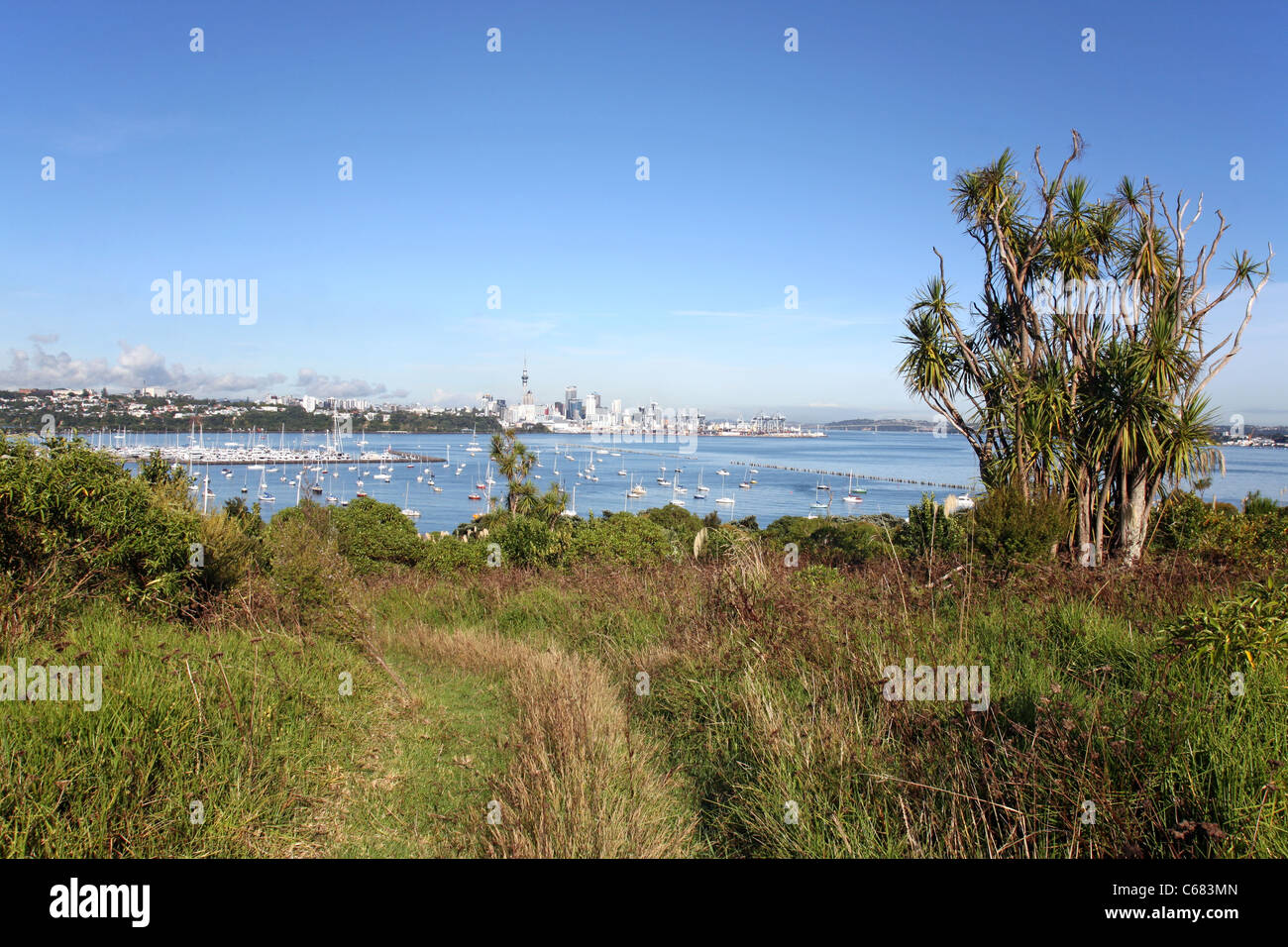 Auckland city center viewed from Takaparawha Regional Park Stock Photo ...