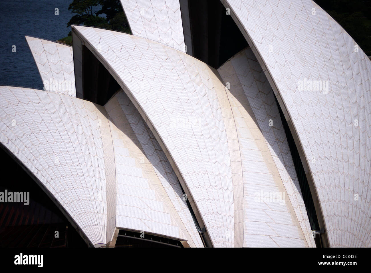 Close up of Sydney Opera House Stock Photo - Alamy