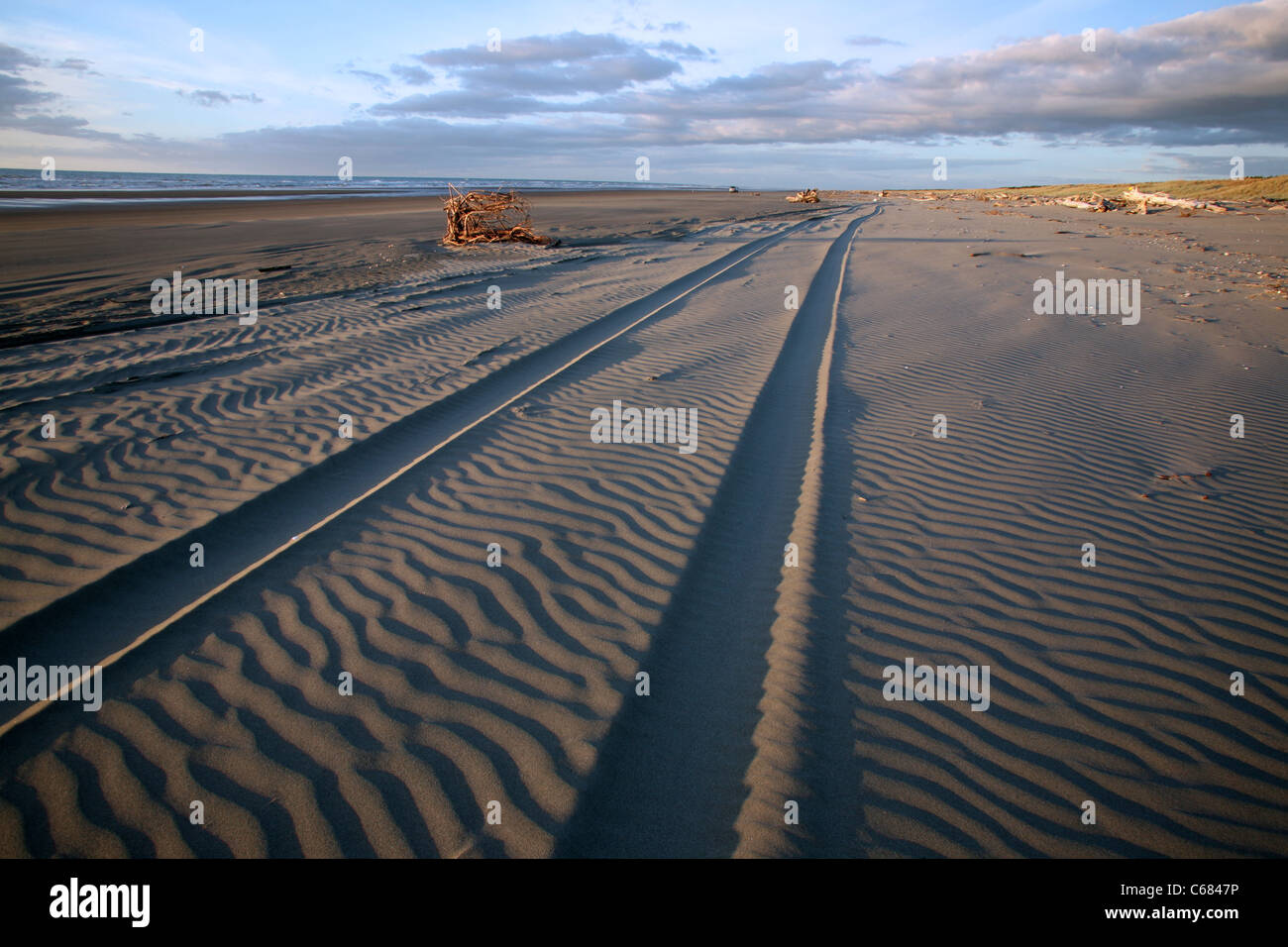 Tire tracks in the sand on the beach. Waitarere Beach, Horowhenua ...