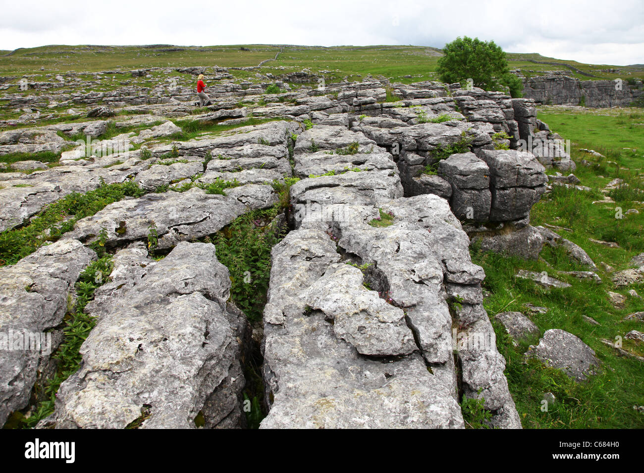 The limestone pavement above Malham Cove, Yorkshire, Yorkshire Dales ...