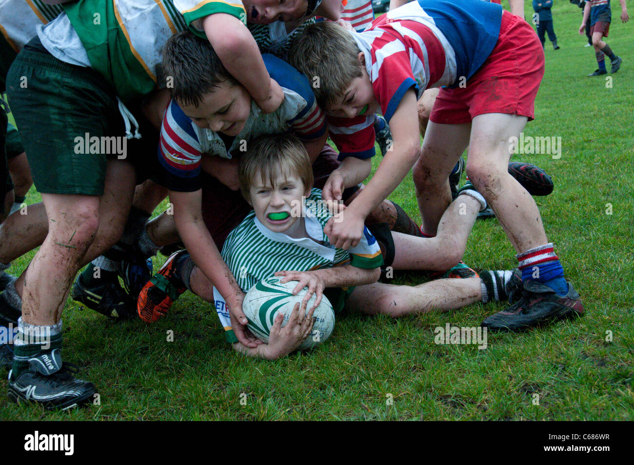 junior rugby players going for it Stock Photo - Alamy