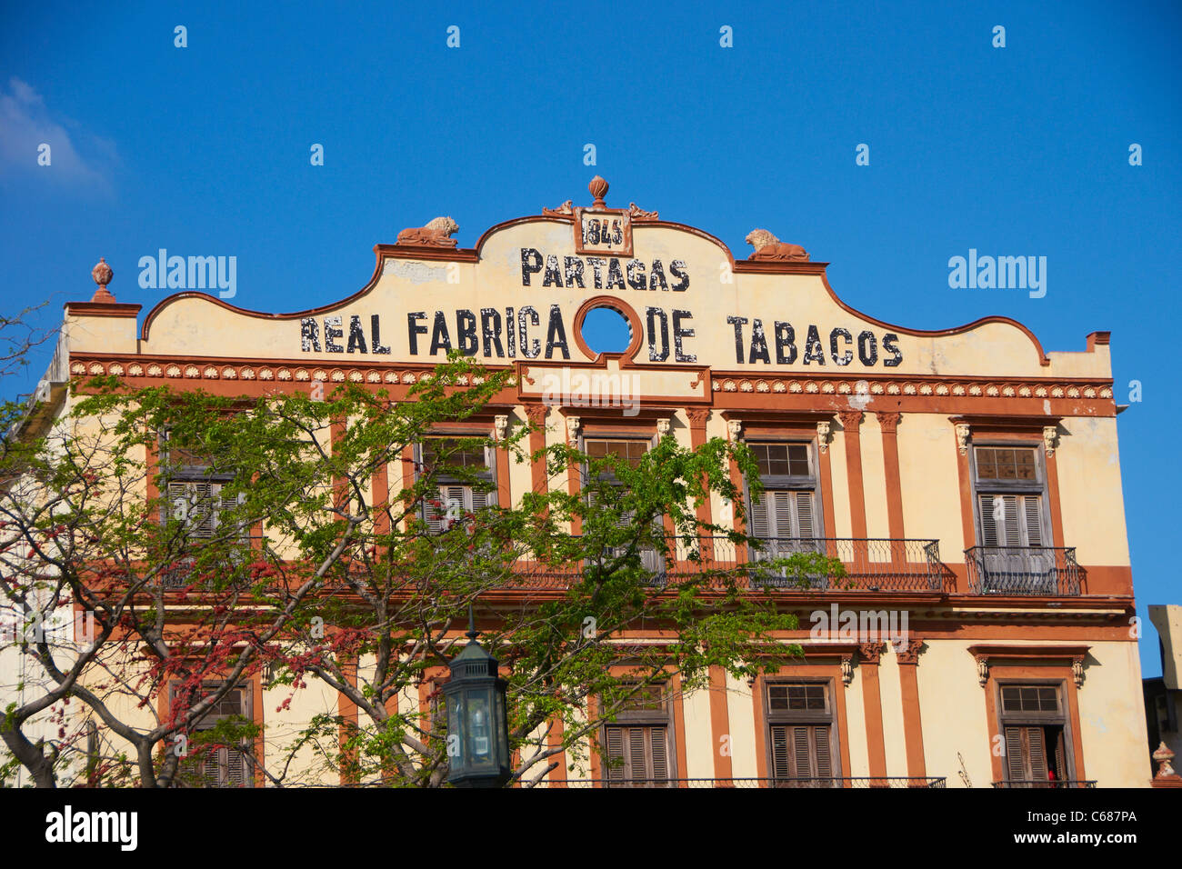 The Partagas Cigar Factory in central Havana Cuba Stock Photo - Alamy