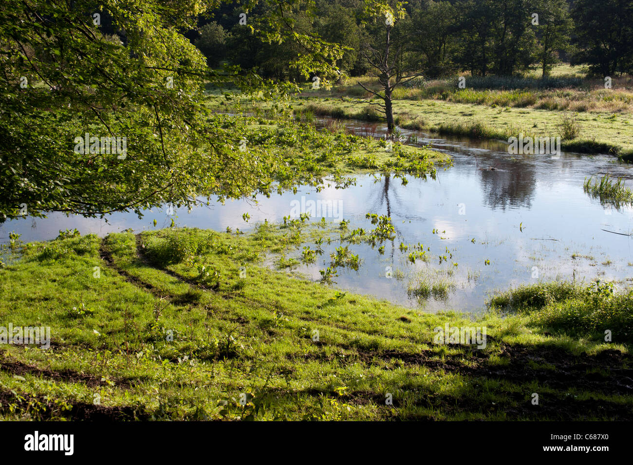 Flooded meadows in valley Fyledalen Stock Photo - Alamy