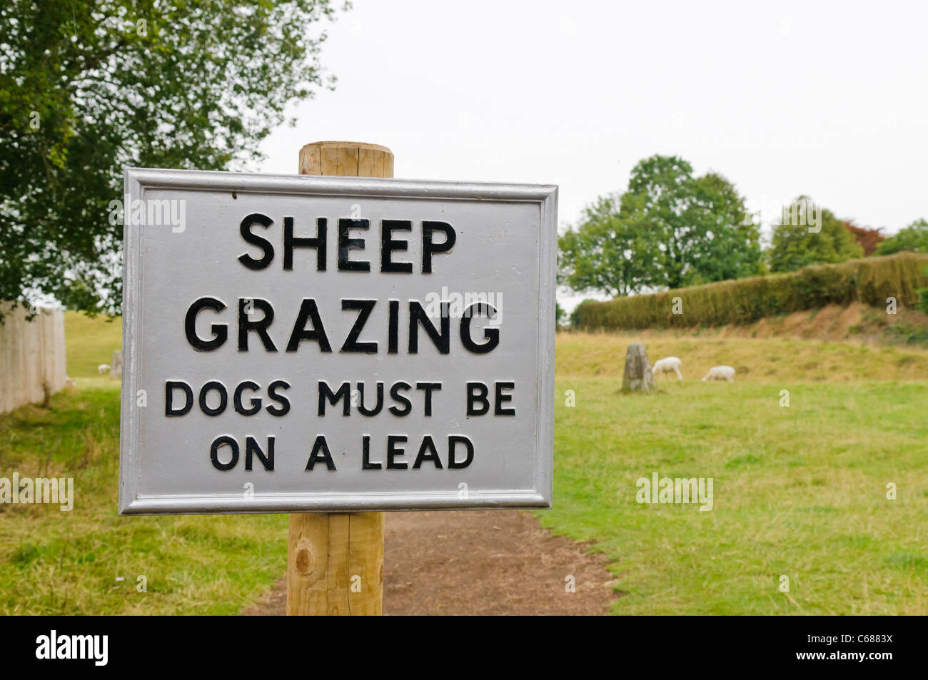 Sign warning public to keep dogs on a lead as sheep are grazing Stock ...