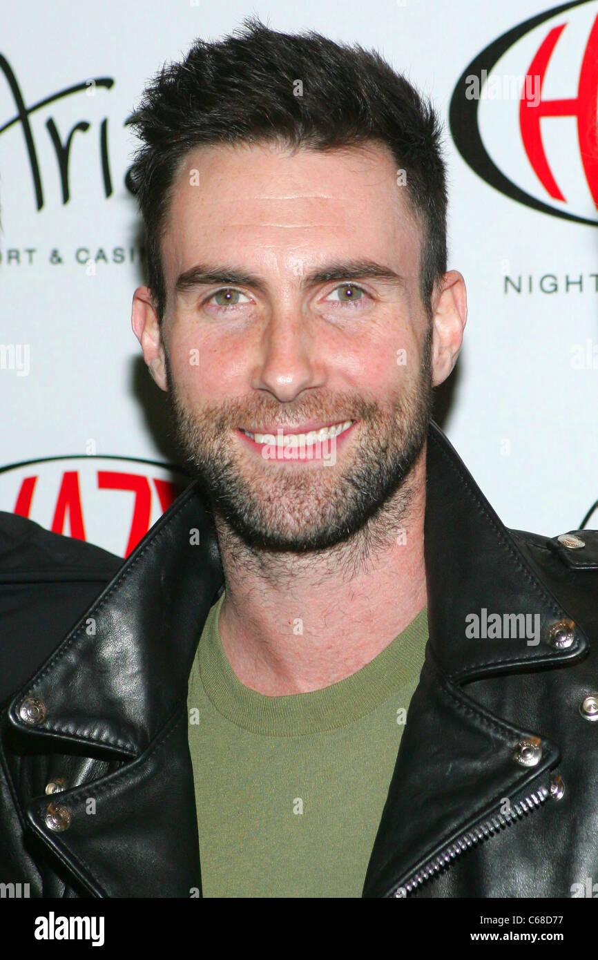 Adam Levine Pompadour De Stem