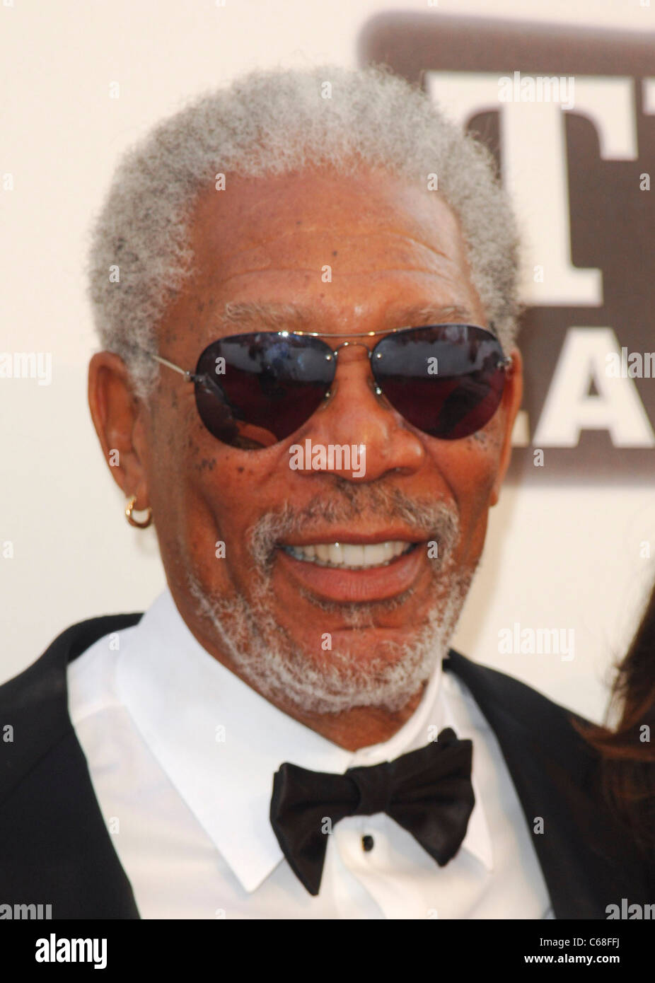 Morgan Fredman at arrivals for American Film Institute (AFI) 39th Life ...