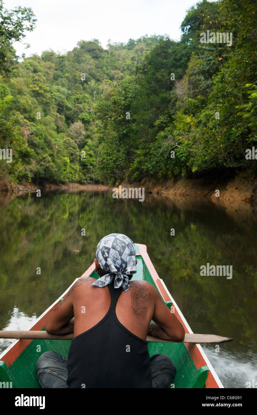 Iban man navigating the river in Batang Ai National Park in Sarawak ...