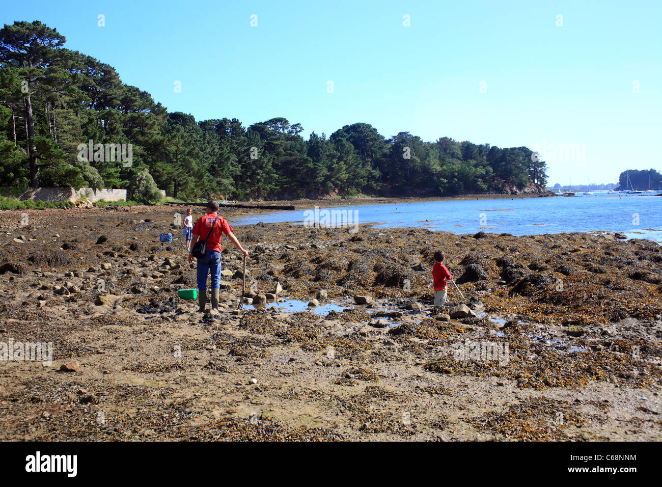 Rock pooling children hi-res stock photography and images - Alamy