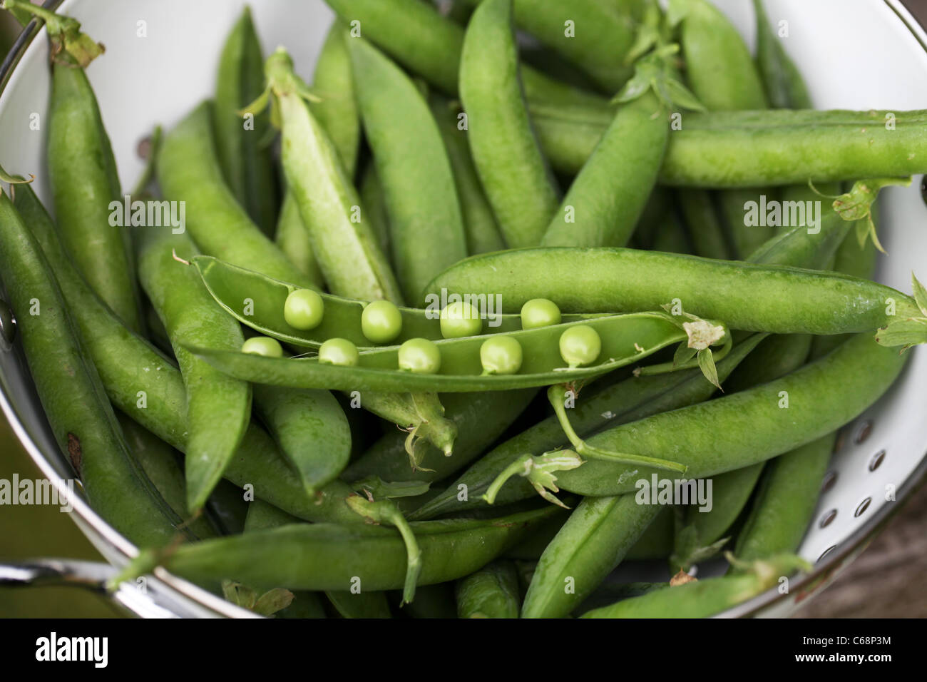 Hurst green shaft’ peas hi-res stock photography and images - Alamy