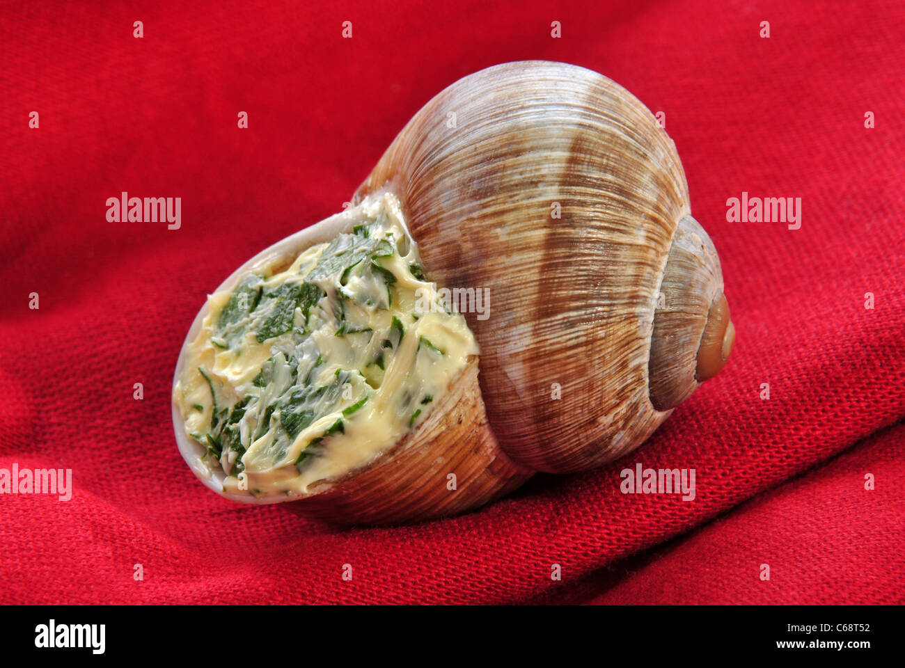 one snail with a delicious herb buttercream Stock Photo - Alamy