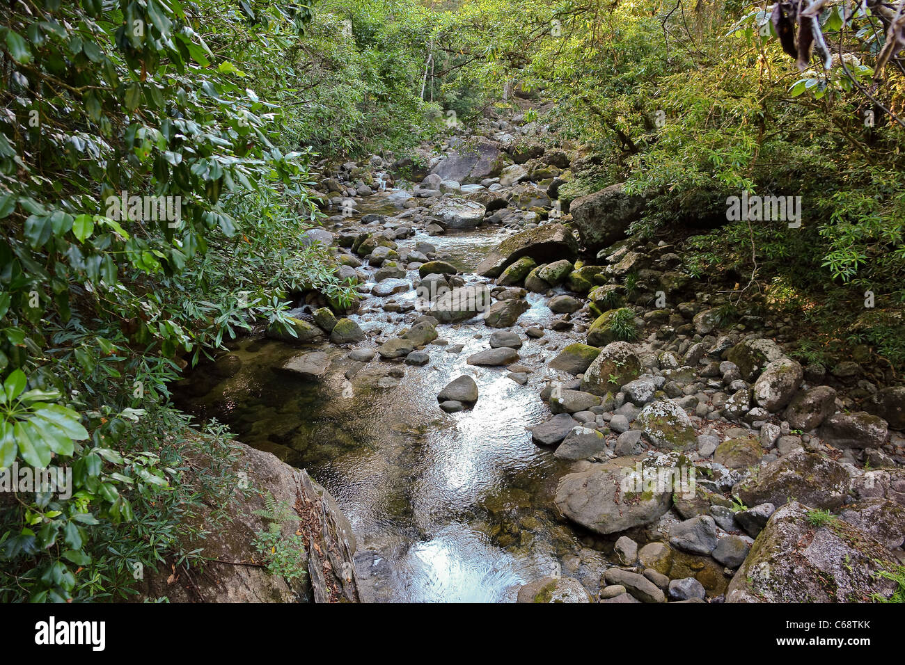 A small rocky stream Stock Photo - Alamy