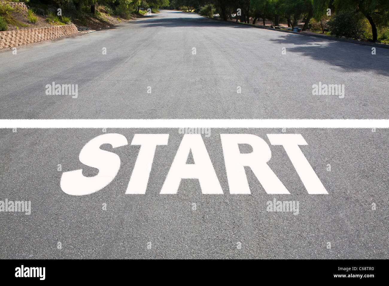 empty tree-lined road and parking lot with start line Stock Photo - Alamy