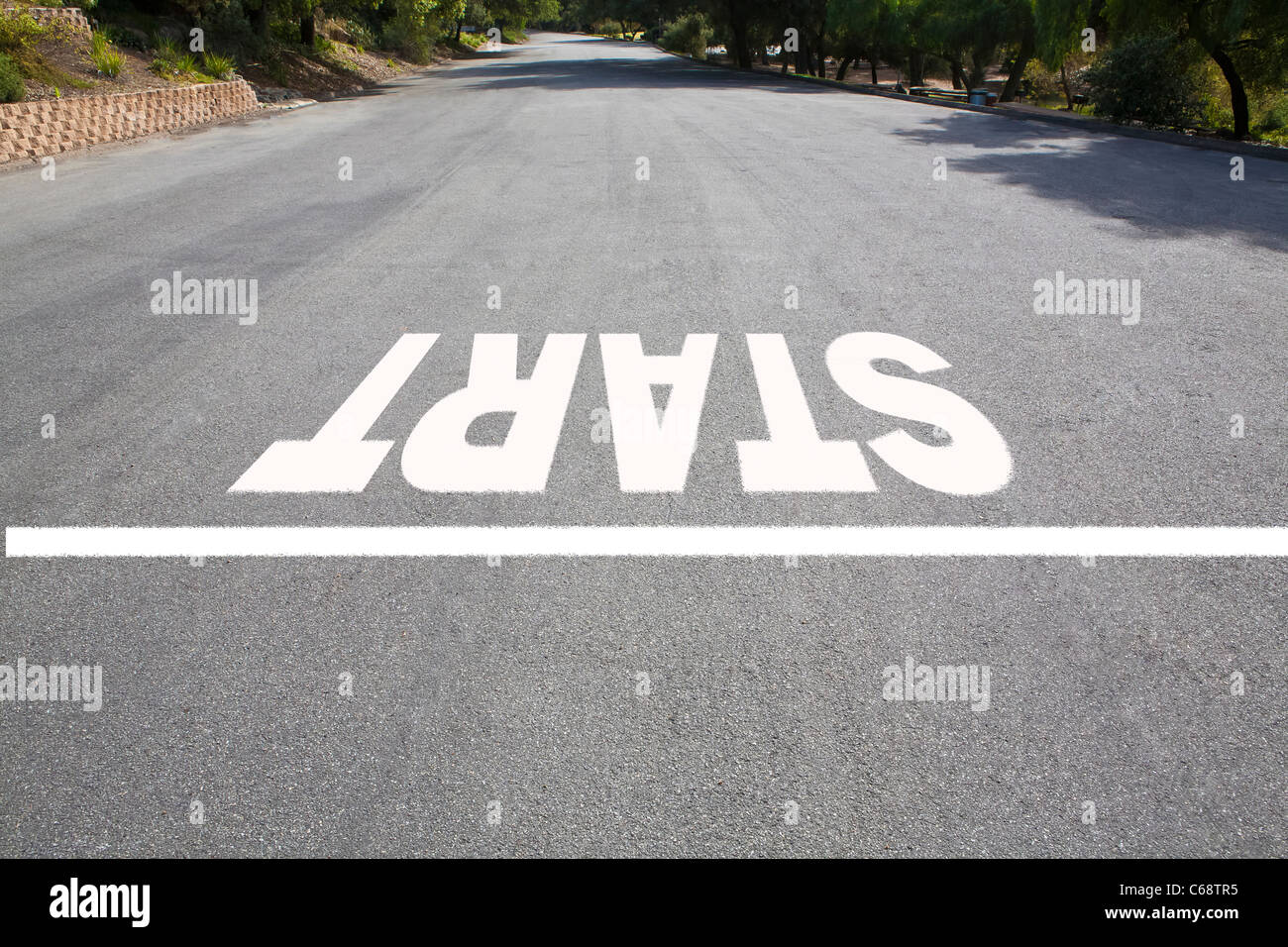 empty tree-lined road and parking lot with start line Stock Photo - Alamy