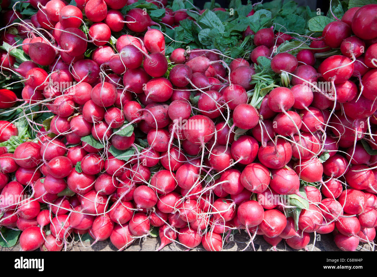 Radish radishes hi-res stock photography and images - Alamy