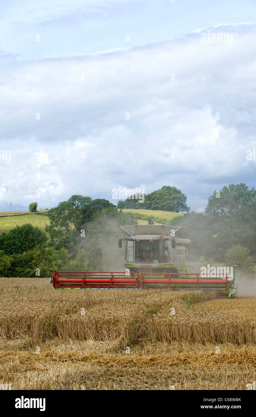 Combine harvester field hi-res stock photography and images - Alamy