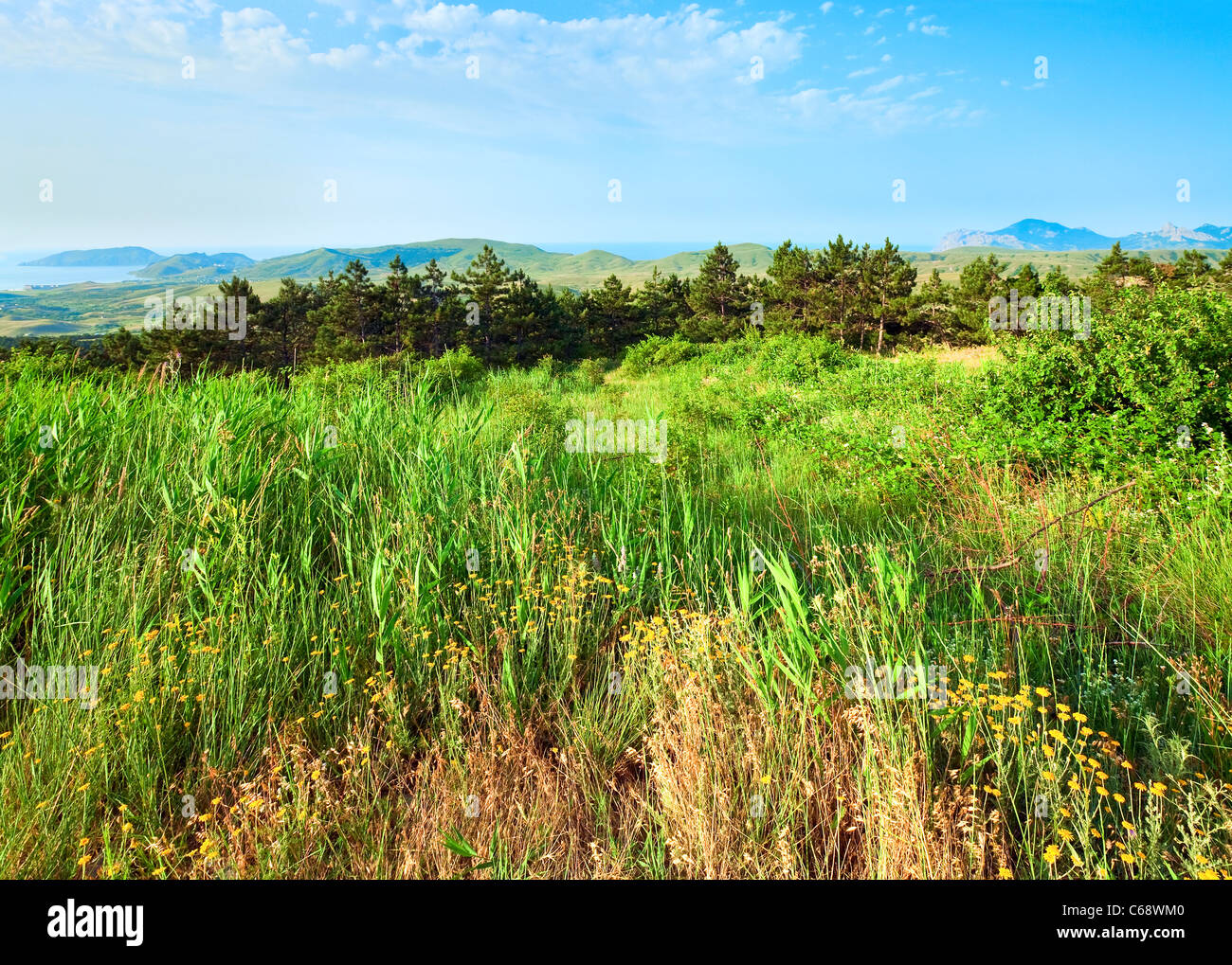 Summer misty sea coast hi-res stock photography and images - Alamy