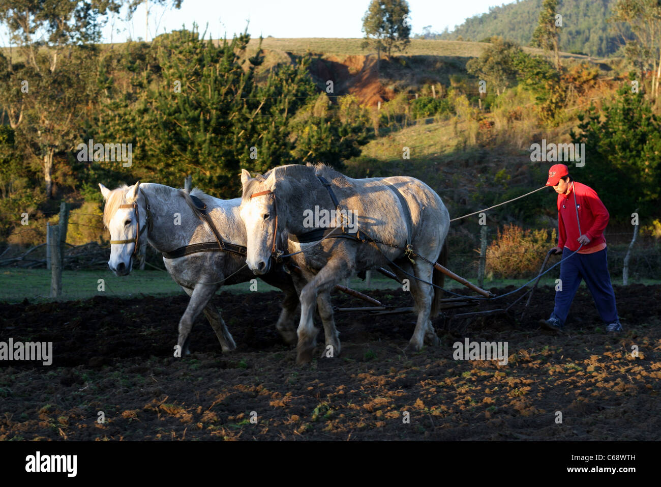 Boy Plowing Field High Resolution Stock Photography and Images - Alamy