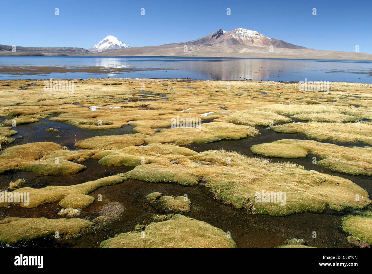 Lake Chungara with Sajama volcan (in Bolivia) on the left and the ...