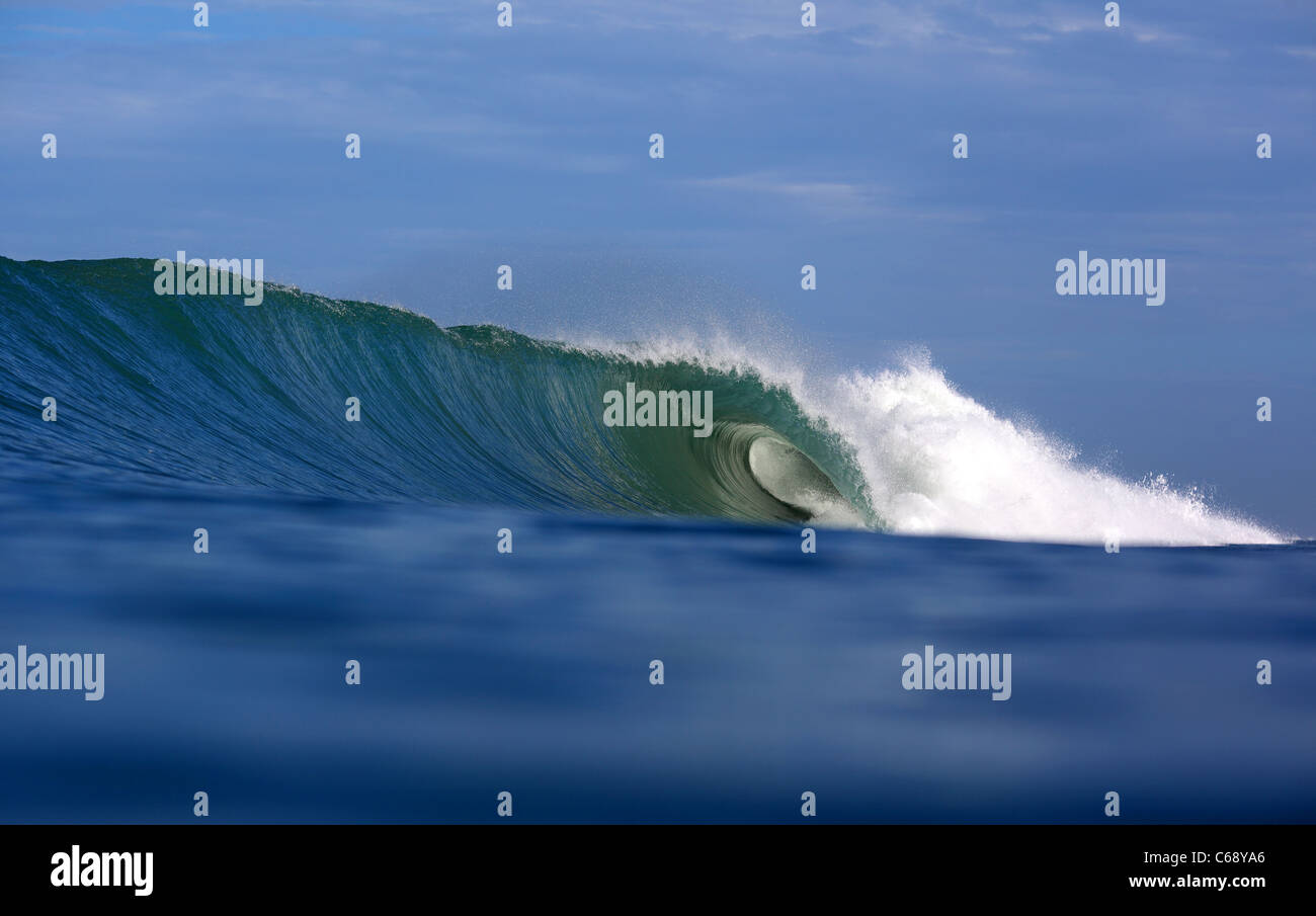 Perfect Surfing Wave High Resolution Stock Photography and Images - Alamy