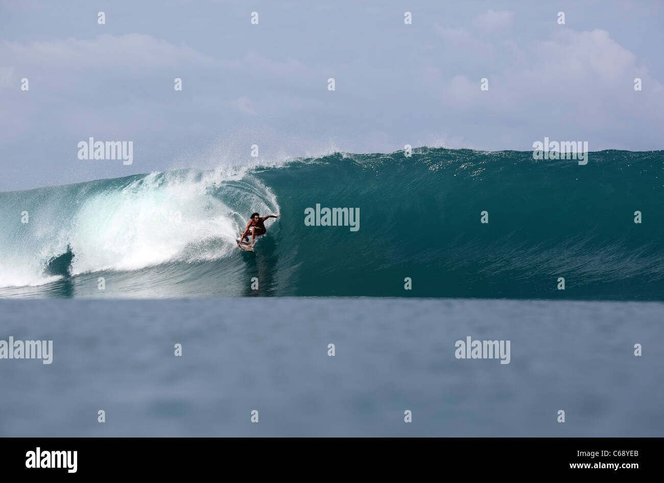 Surfing riding a perfect wave somewhere in Sumatra, Indonesia Stock ...