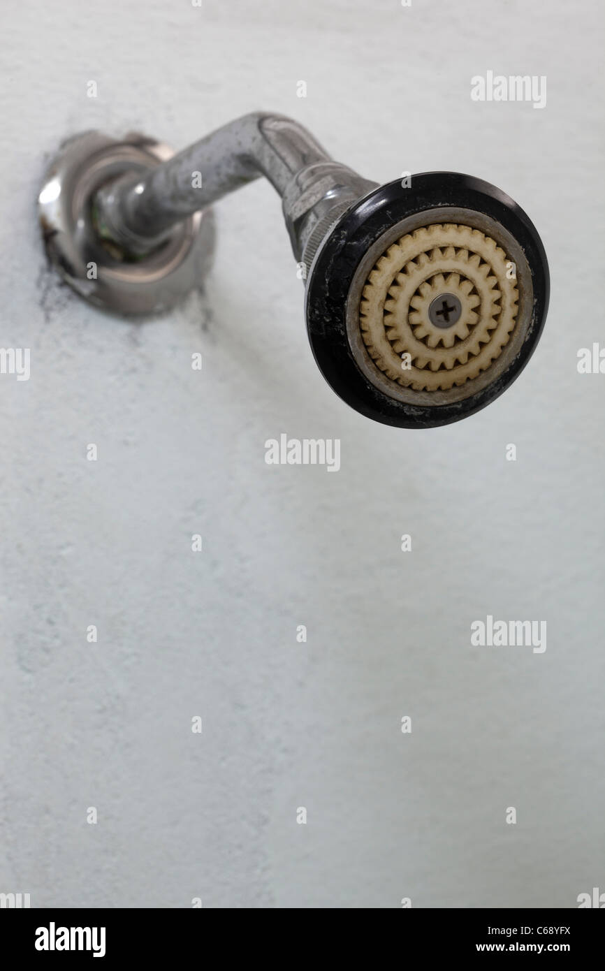 Shower head in cheap hotel bathroom Stock Photo - Alamy
