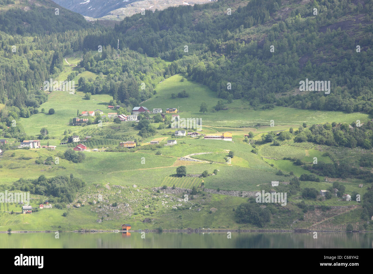 Wonderful fjord greens of norway in spring Stock Photo - Alamy