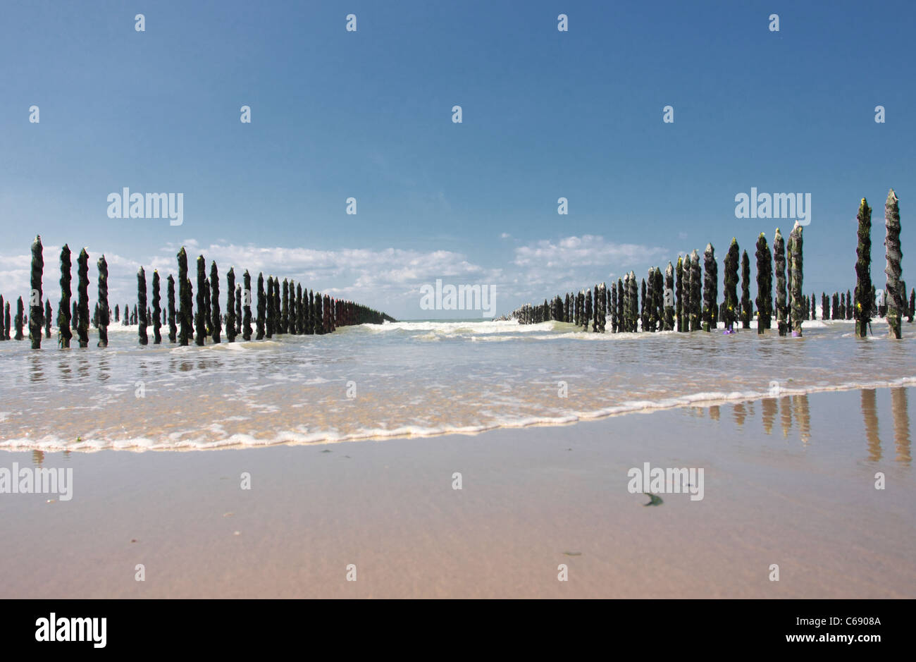 Mussel farm underwater hi-res stock photography and images - Alamy