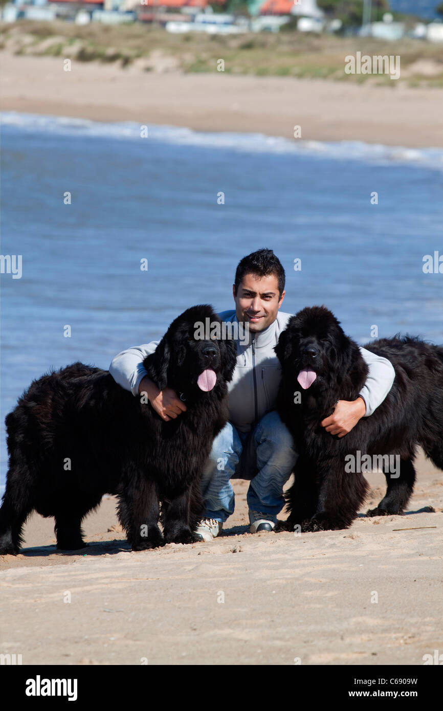 happy dogs with a men Stock Photo - Alamy