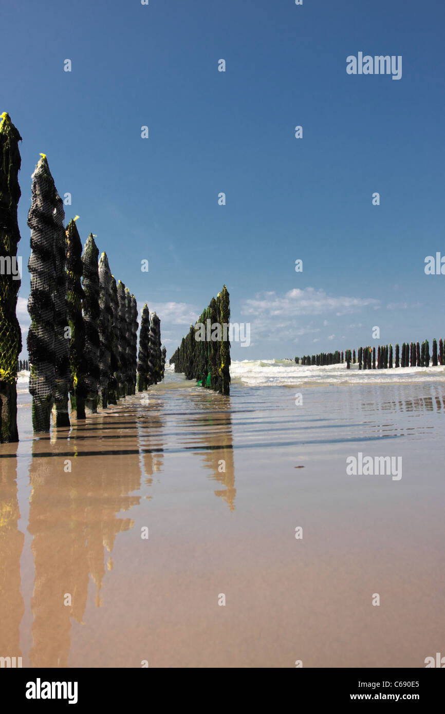 Mussel farm underwater hi-res stock photography and images - Alamy