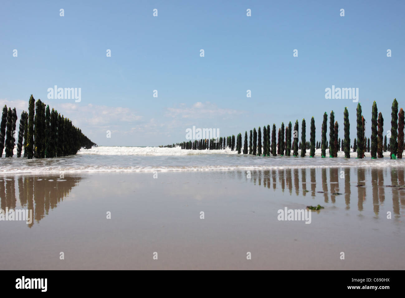 Mussel farm underwater hi-res stock photography and images - Alamy