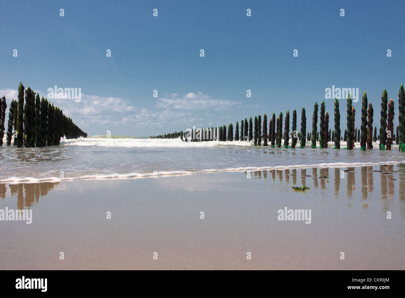 mussel sea on the coast of opal in France Bouchot Stock Photo - Alamy