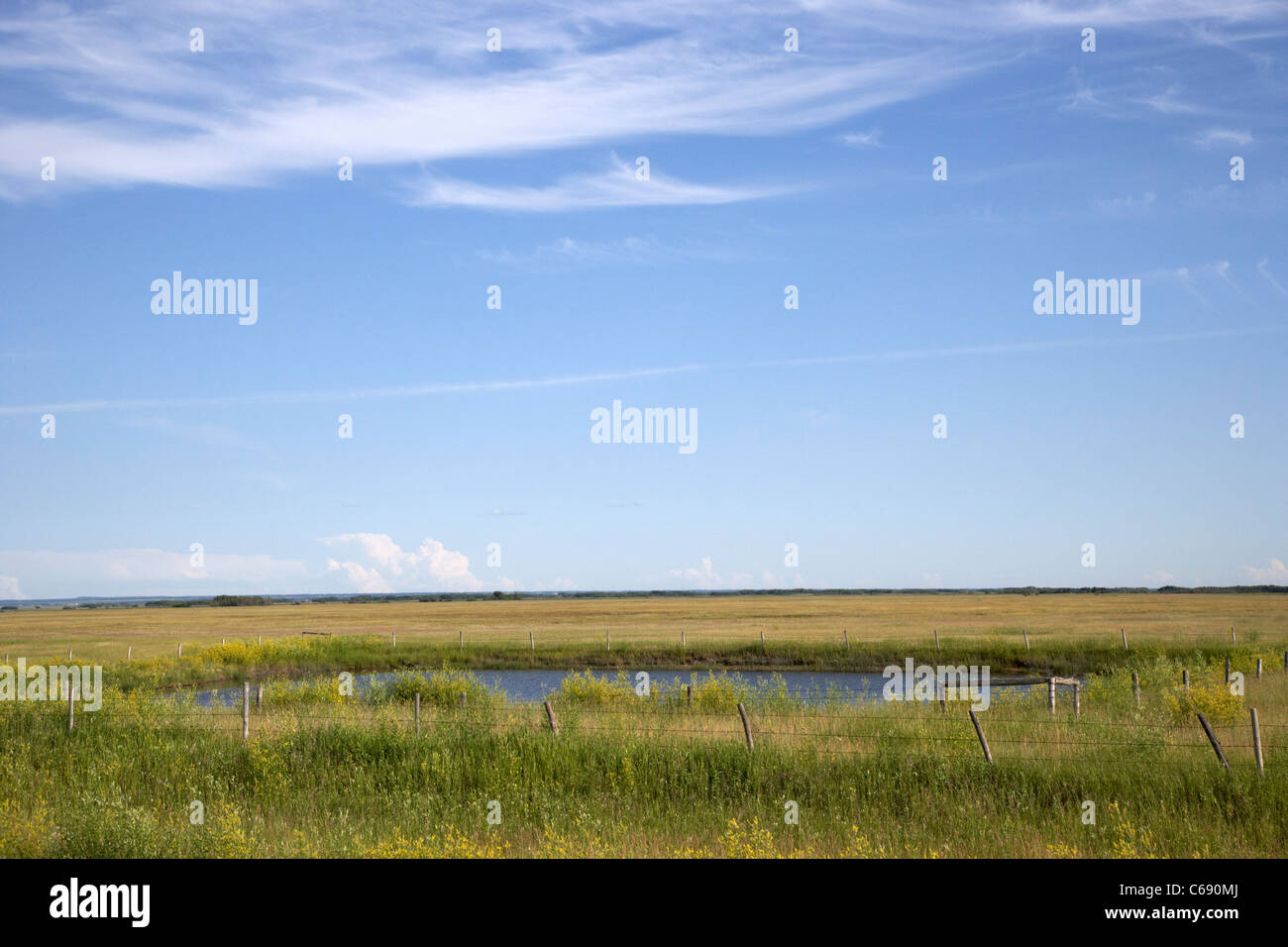 small lake pool of water on farmland in prairies land of the living ...