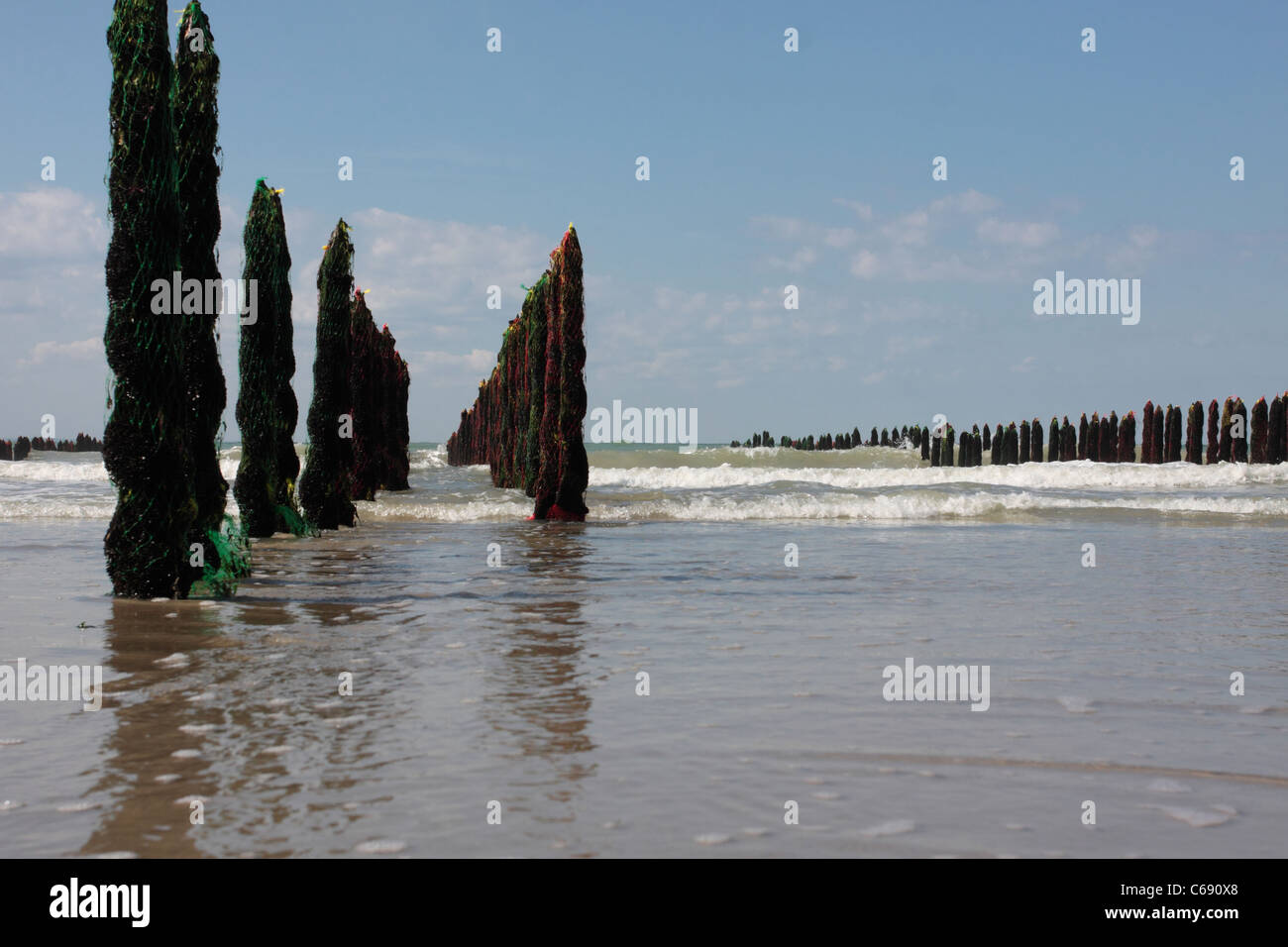 Mussel farm underwater hi-res stock photography and images - Alamy