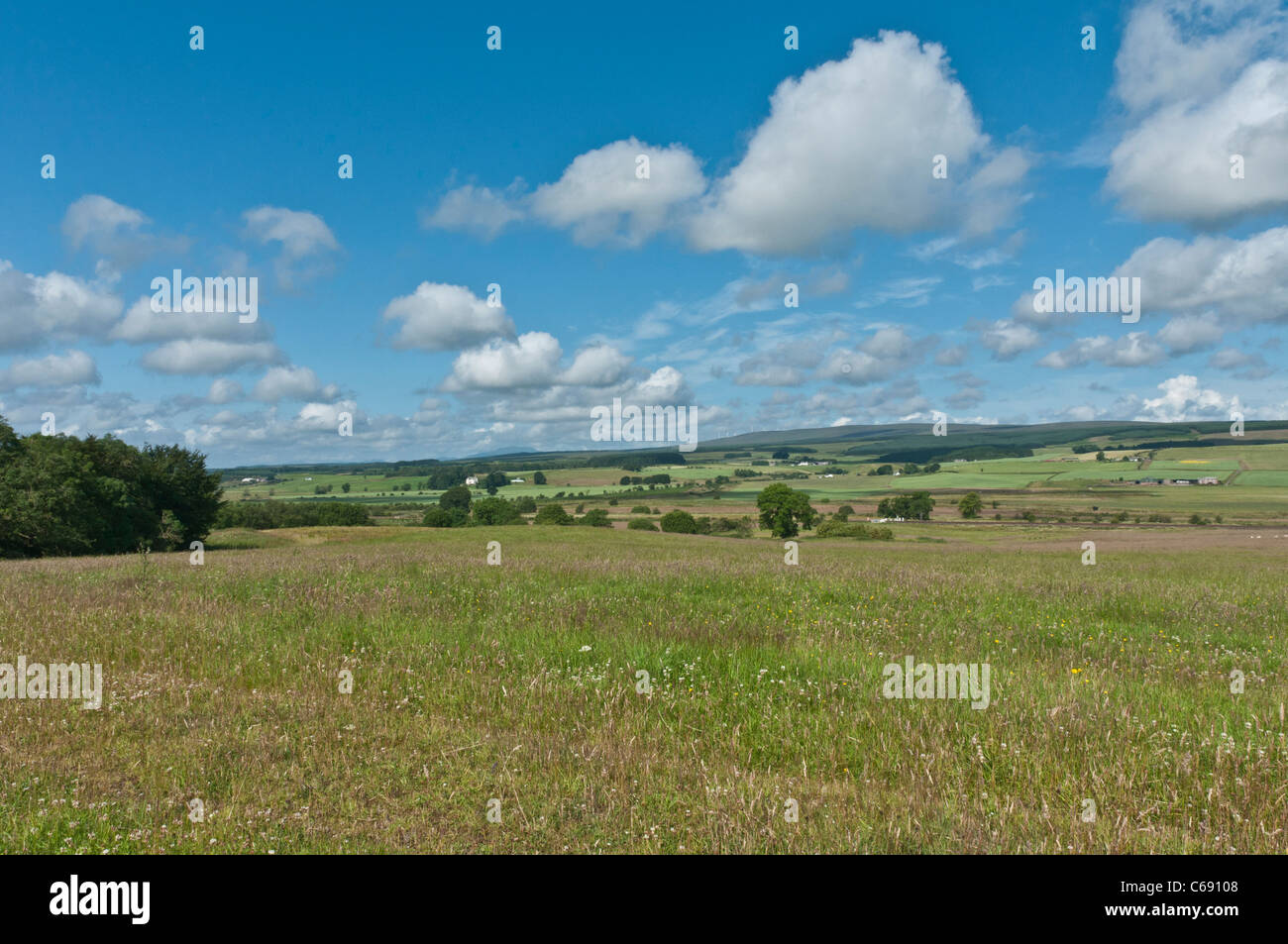 Strathallan hi-res stock photography and images - Alamy