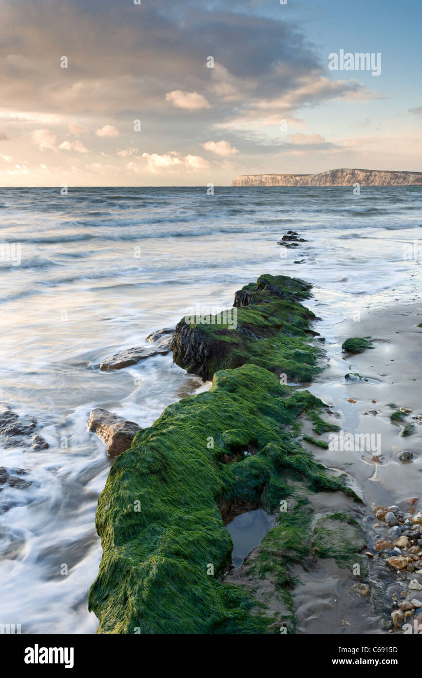 The needles isle of wight sunset hi-res stock photography and images ...
