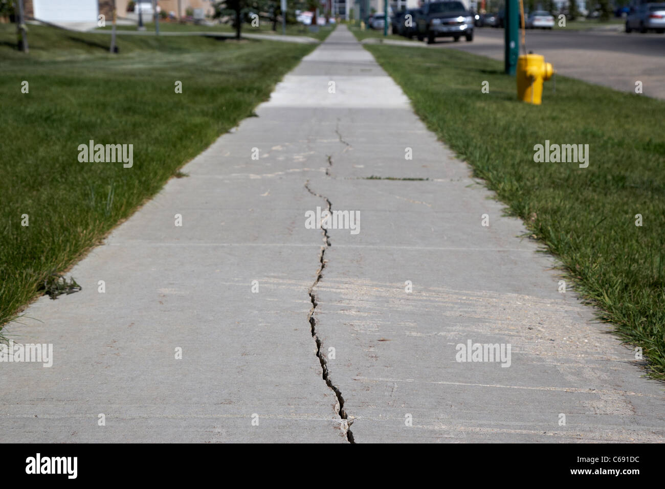 Sidewalk crack hi-res stock photography and images - Alamy