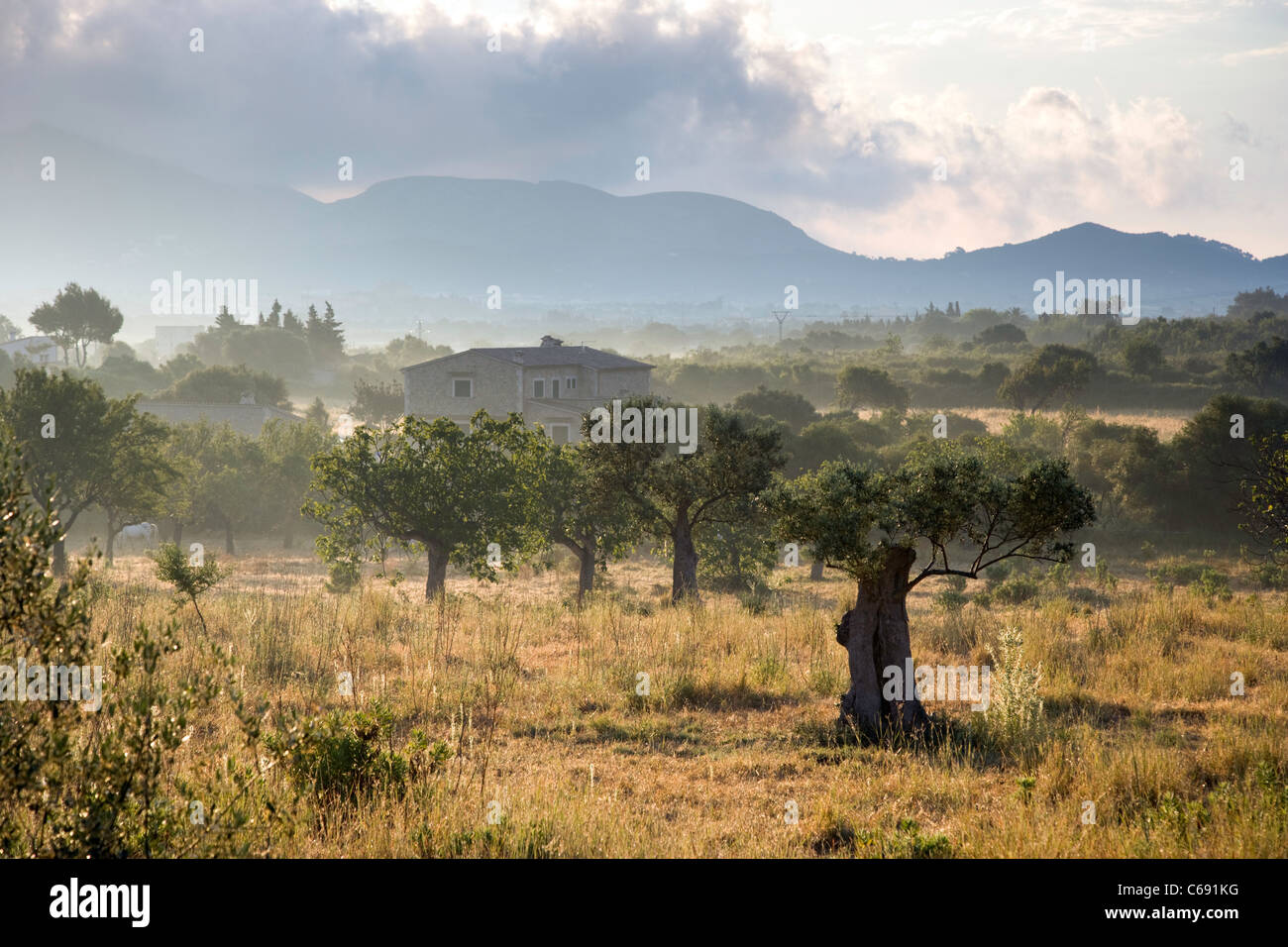 A warm Spanish morning near Port de Pollenca in Majorca, with mist ...