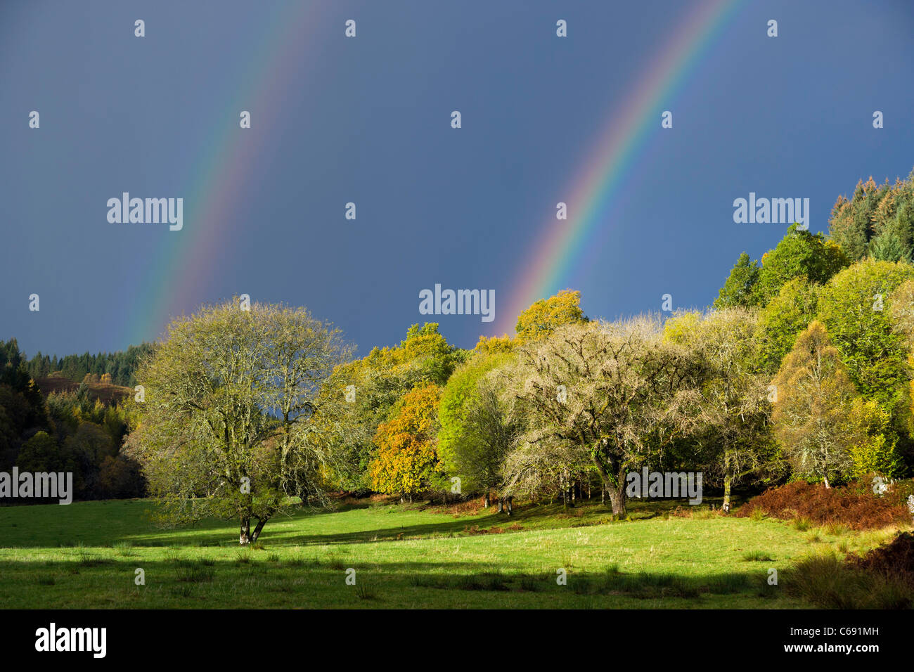 Double Rainbow Fall Color In High Resolution Stock Photography and ...