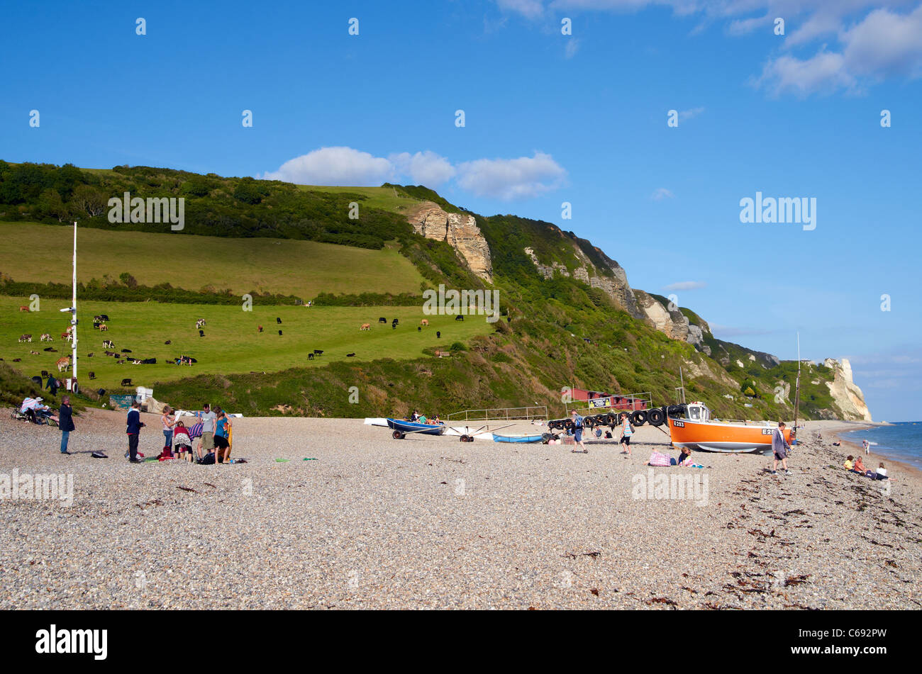 Branscombe beach near Beer, Devon with shingle beach and fishing boat ...