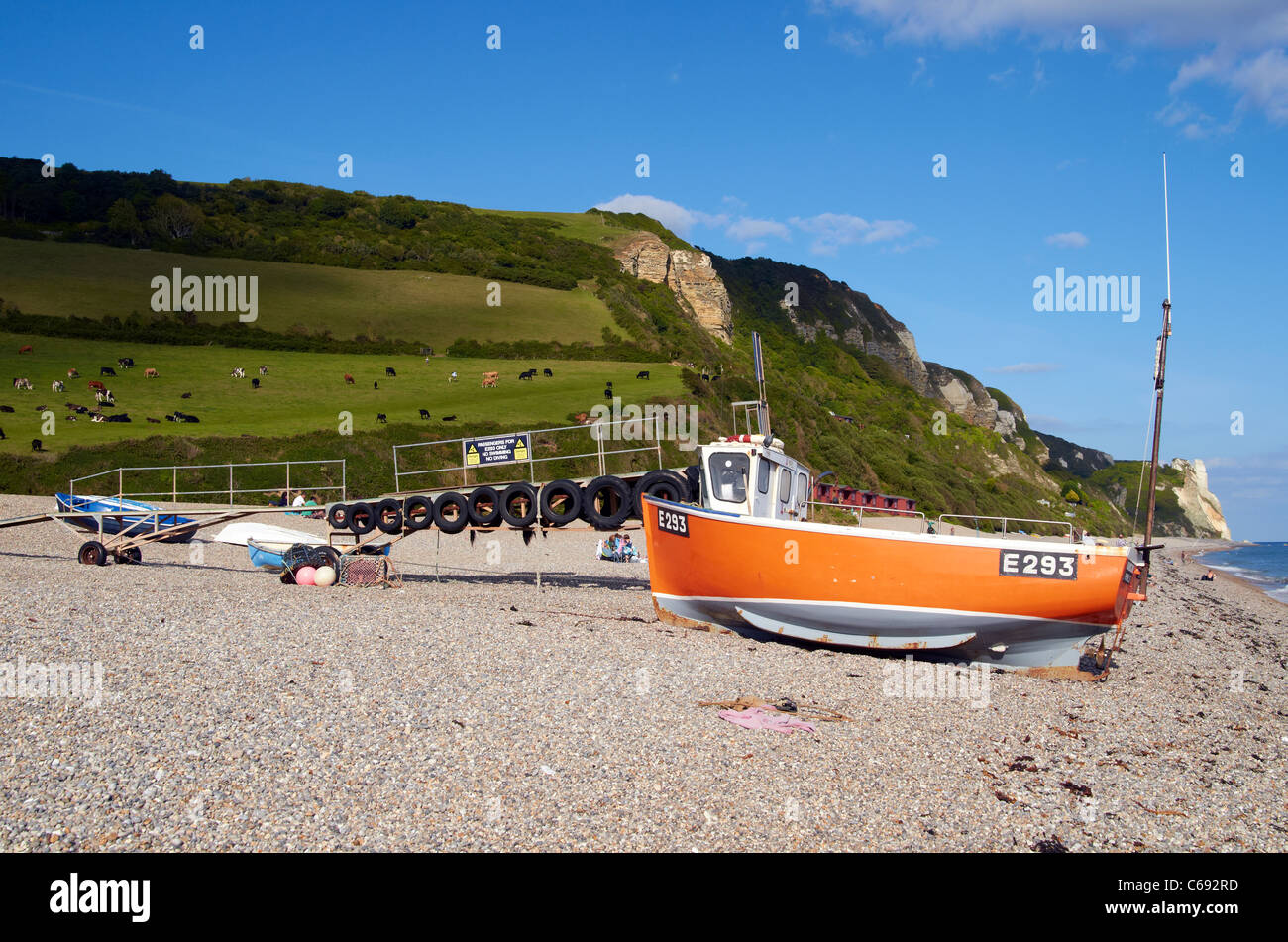 Branscombe beach near Beer, Devon with shingle beach and fishing boat ...
