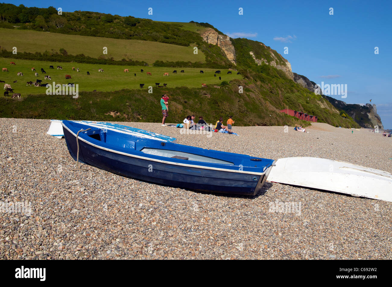Branscombe beach near Beer, Devon with shingle beach and fishing boat ...