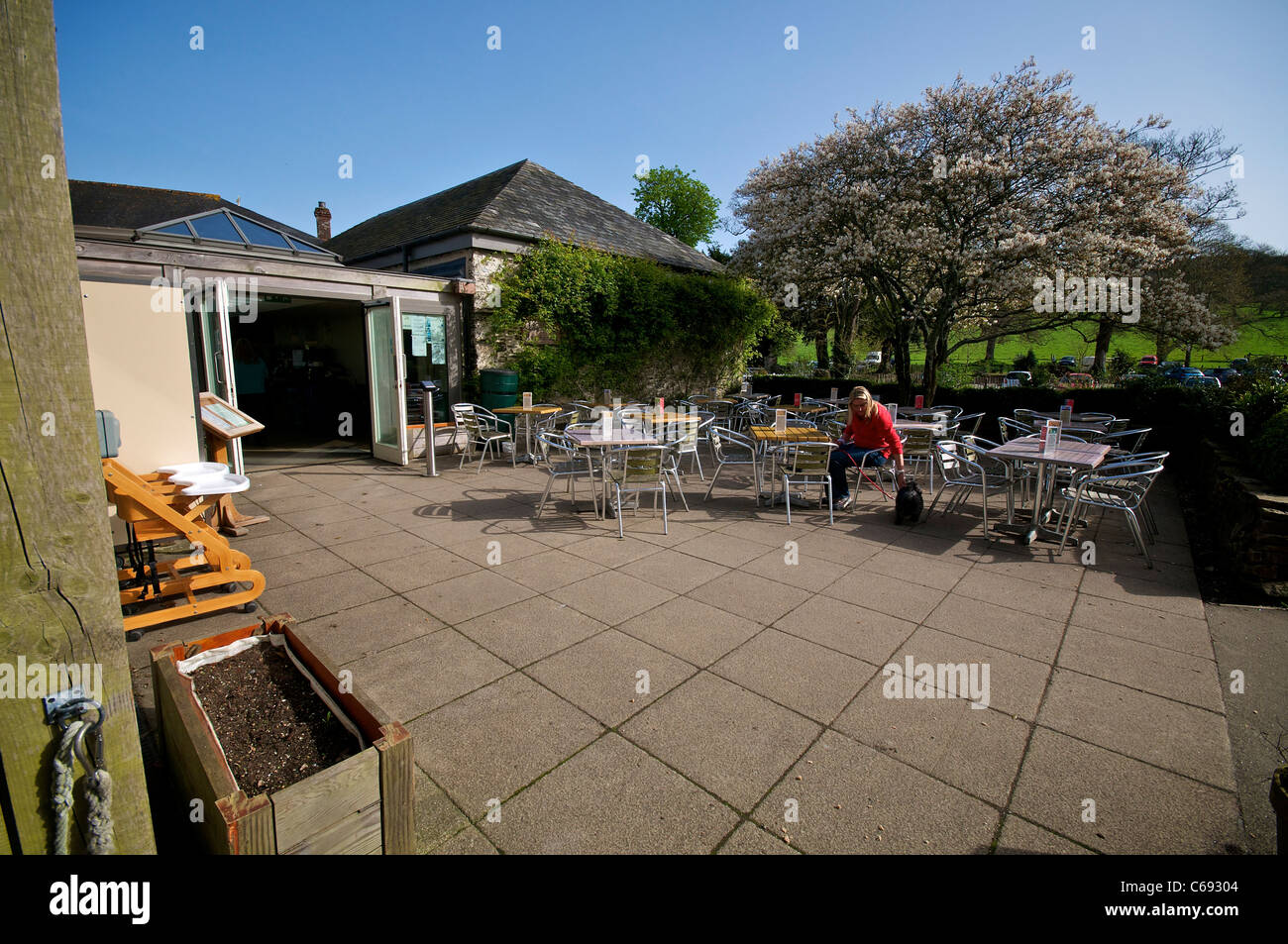 Saltram Devon UK National Trust Stock Photo - Alamy