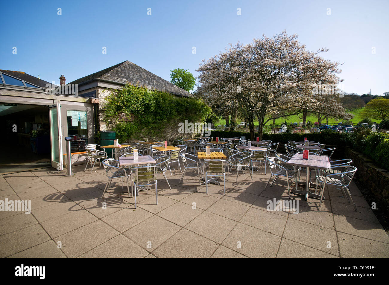 Saltram devon hi-res stock photography and images - Alamy